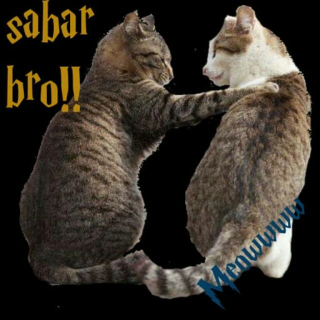 naziem, Online Shop | Shopee Malaysia