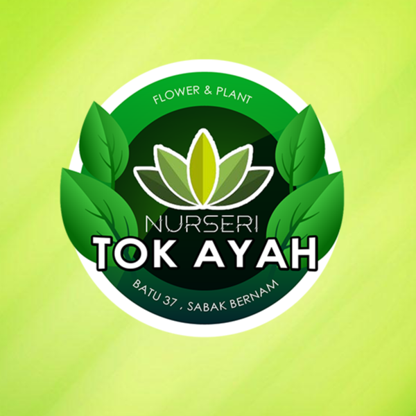 Nurseri Tok Ayah Selangor, Online Shop | Shopee Malaysia
