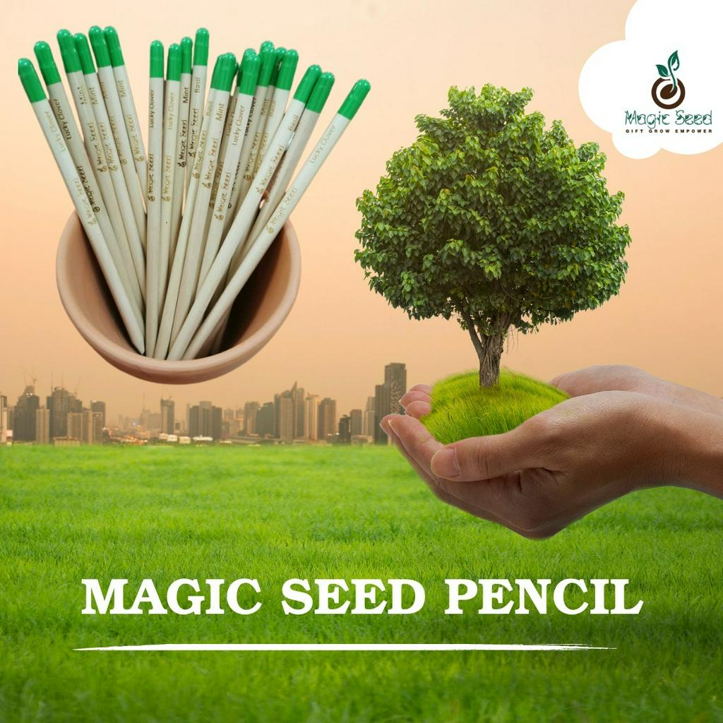Magic Seed Malaysia, Online Shop | Shopee Malaysia