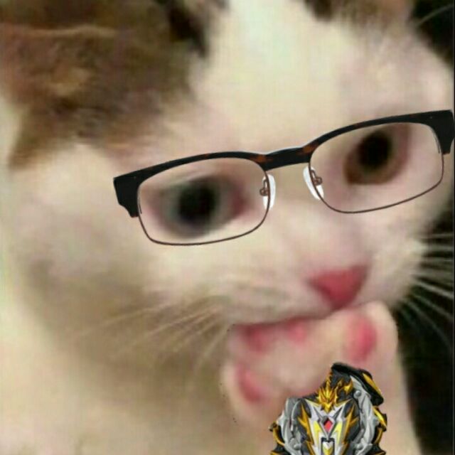 Kyro Kyle Store, Online Shop | Shopee Malaysia