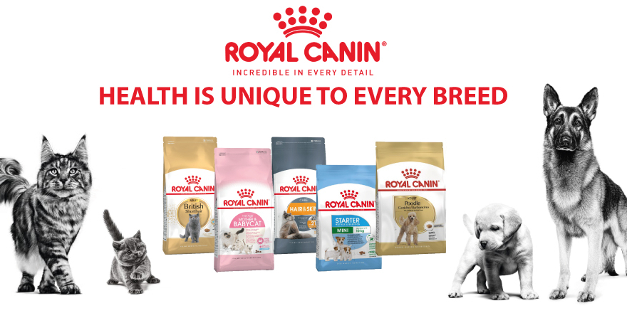 EZ CAT SHOP, Online Shop | Shopee Malaysia