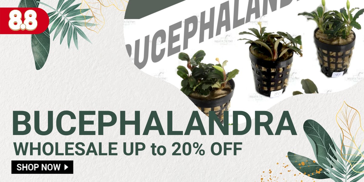 GroAsia Biotech Sdn Bhd, Online Shop | Shopee Malaysia