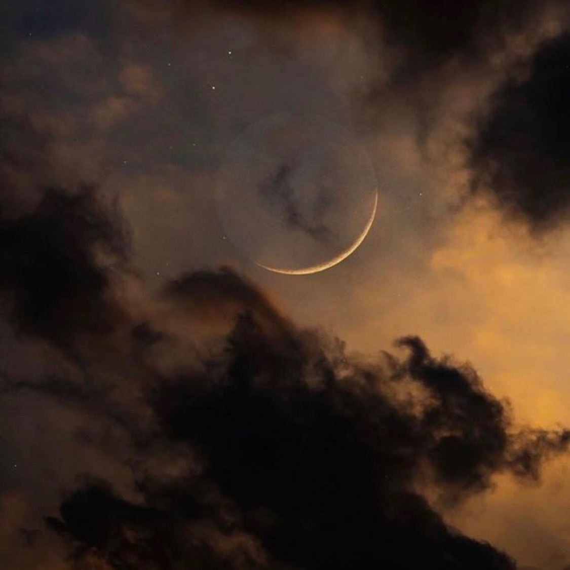 CaD shop, Online Shop | Shopee Malaysia