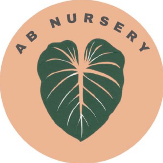 Ab Nursery Online Shop Shopee Malaysia