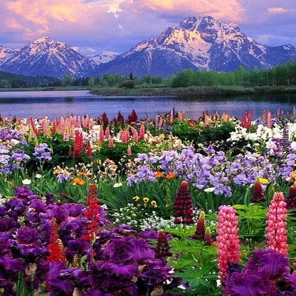 Salt & Light, Online Shop | Shopee Malaysia