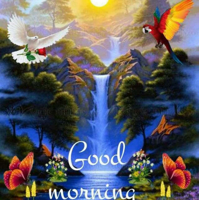 parames, Online Shop | Shopee Malaysia