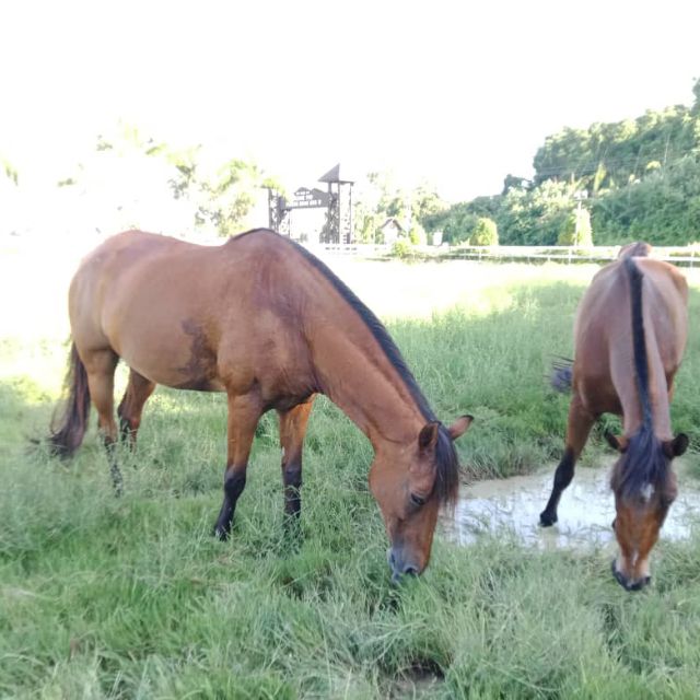 brynny, Online Shop | Shopee Malaysia