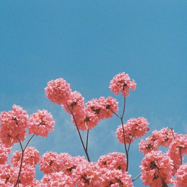 iffah.my, Online Shop | Shopee Malaysia