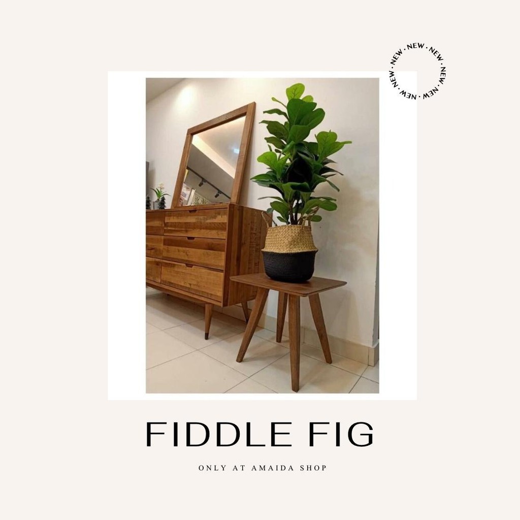 Amaida Store, Online Shop | Shopee Malaysia