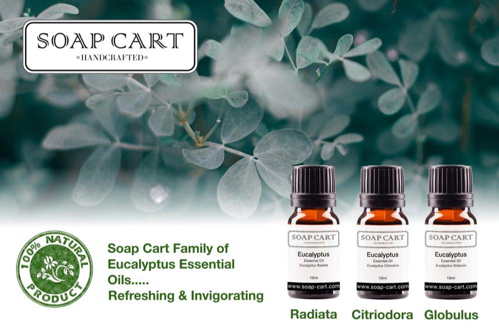 Soap Cart, Online Shop | Shopee Malaysia