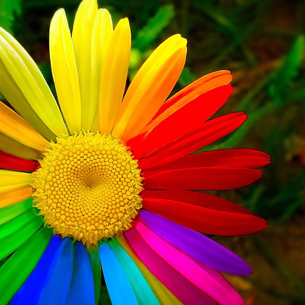 noorul collection, Online Shop | Shopee Malaysia