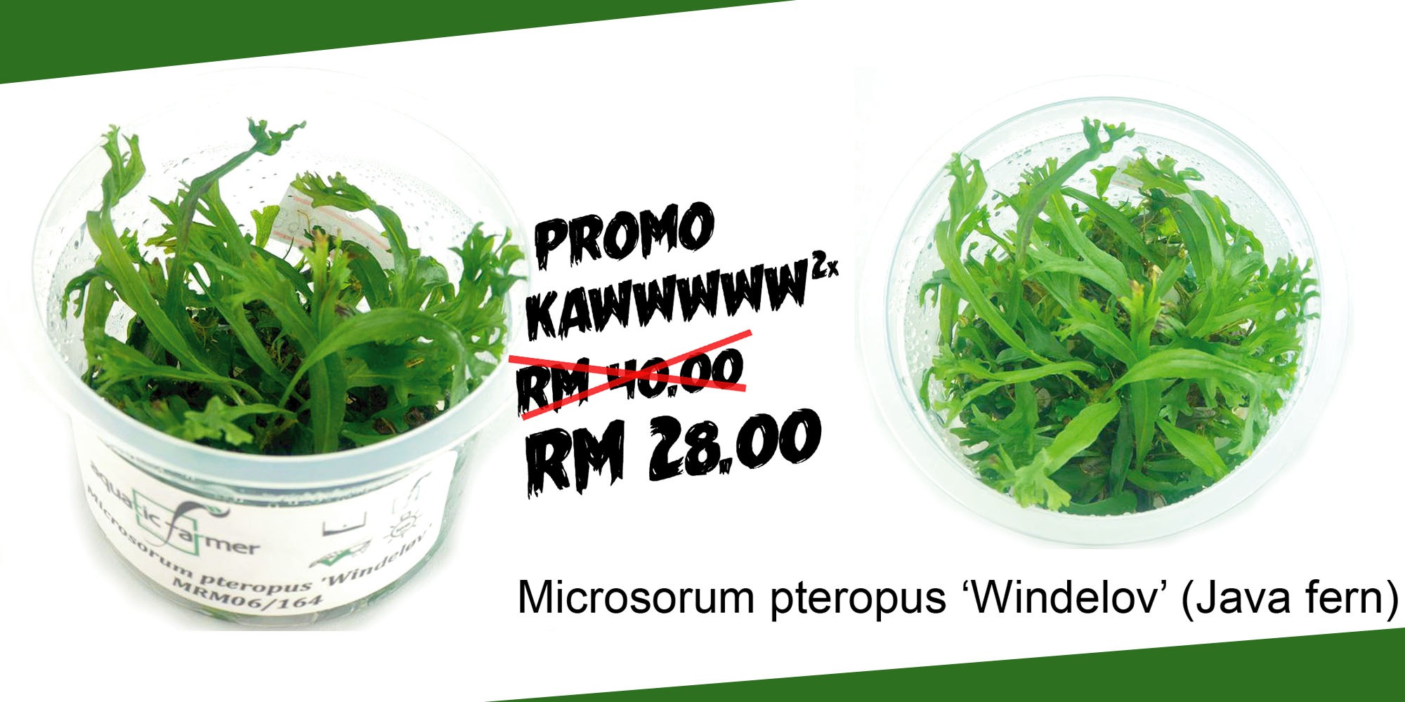 GroAsia Biotech Sdn Bhd, Online Shop | Shopee Malaysia