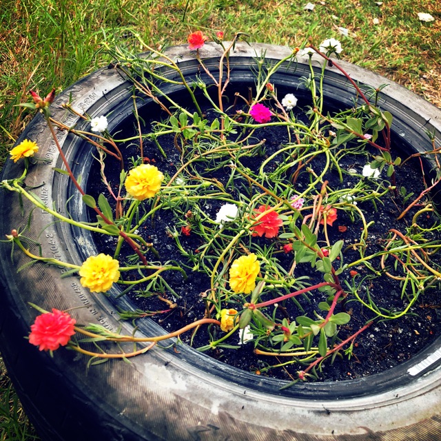 Preloved item for sale, Online Shop | Shopee Malaysia