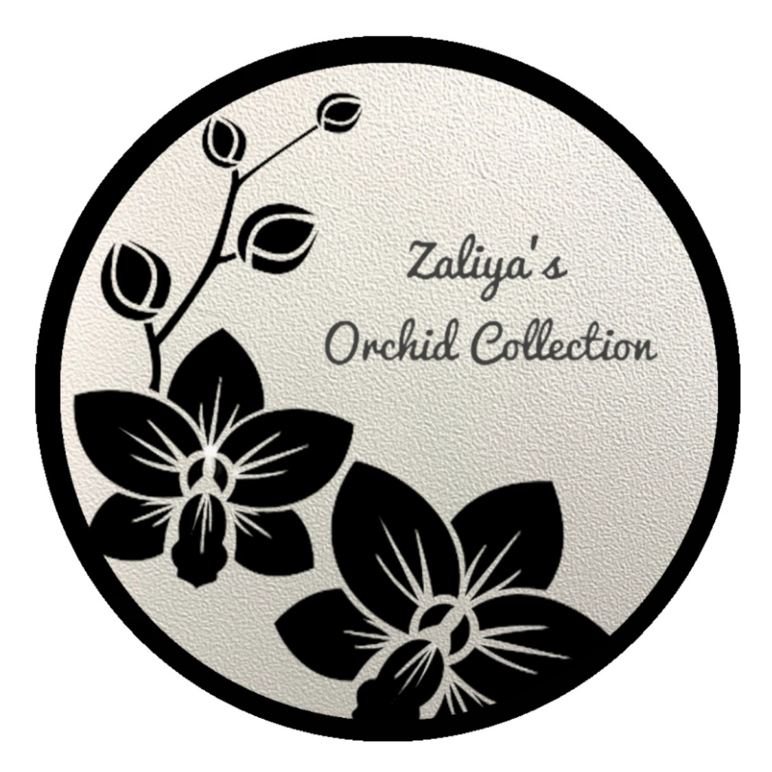 Zaliya's Orchid Collection, Online Shop | Shopee Malaysia