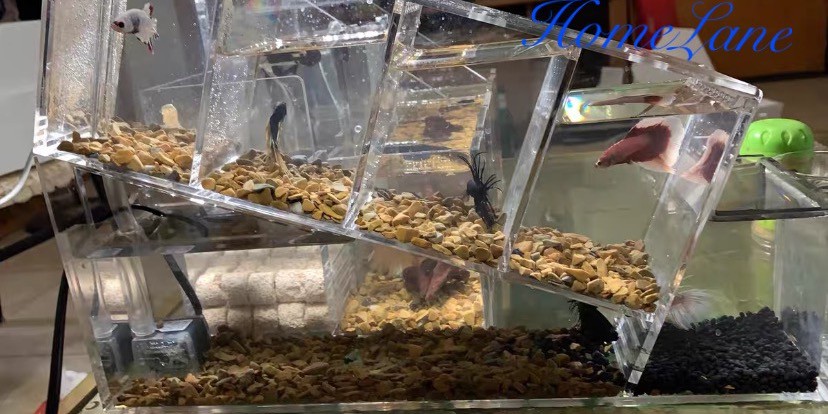 HomeLane Store, Online Shop | Shopee Malaysia