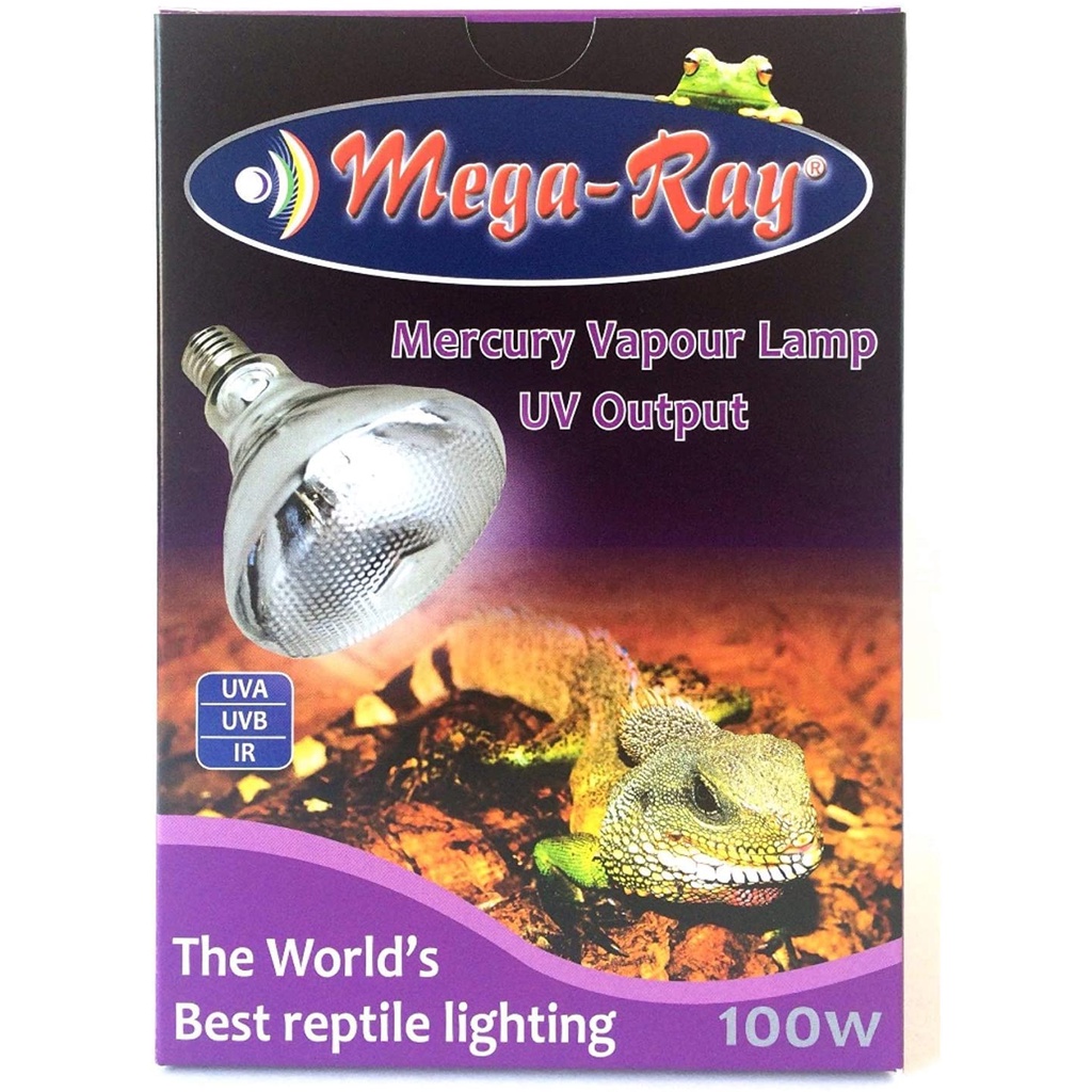 exoreps Seri Kembangan, Online Shop | Shopee Malaysia