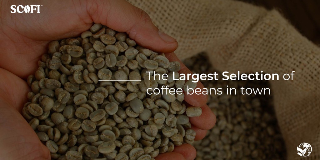 SCOFI Coffee, Online Shop | Shopee Malaysia