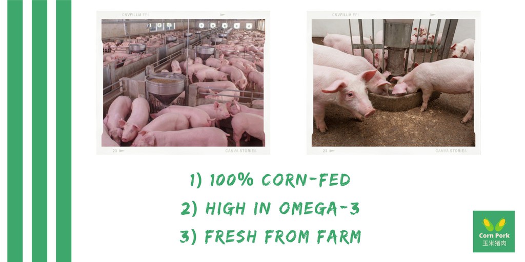 Corn Pork - Fresh Pork, Online Shop | Shopee Malaysia