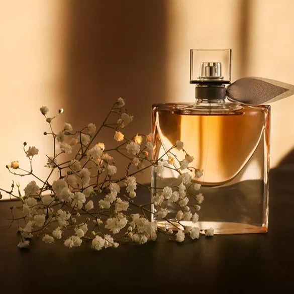 Authentic perfume malaysia, Online Shop | Shopee Malaysia