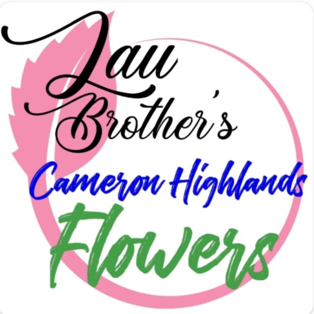 Lau Brother's Flower Farm 劉兄弟花園, Online Shop | Shopee Malaysia
