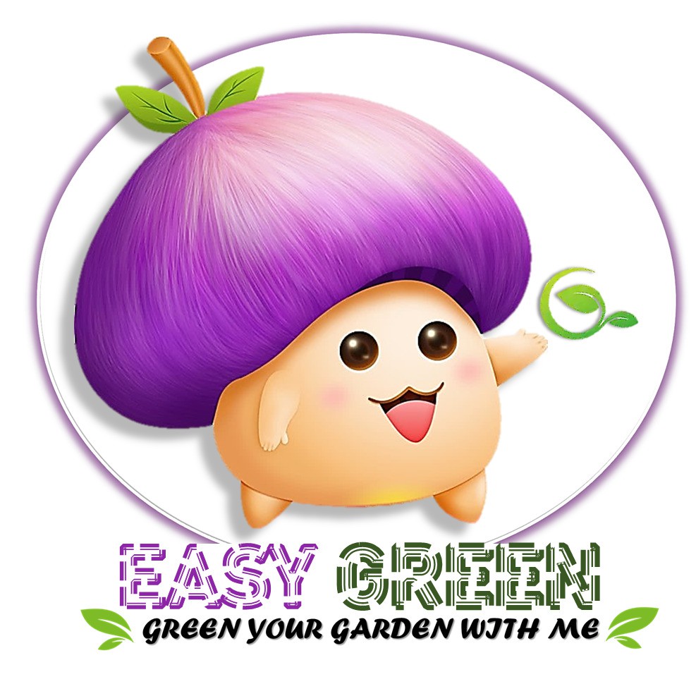Easy Green, Online Shop | Shopee Malaysia