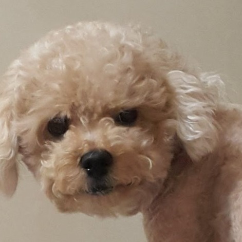 _rfiy_e5x, Online Shop | Shopee Malaysia