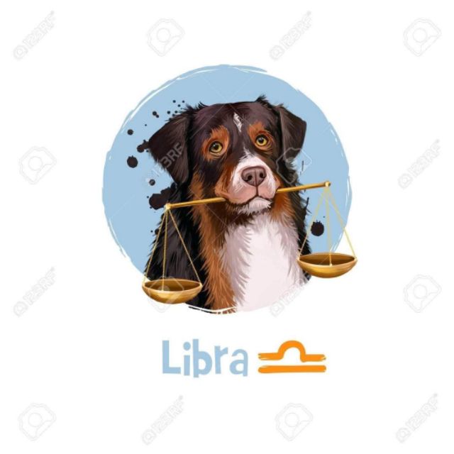 Libra Pet Store, Online Shop | Shopee Malaysia