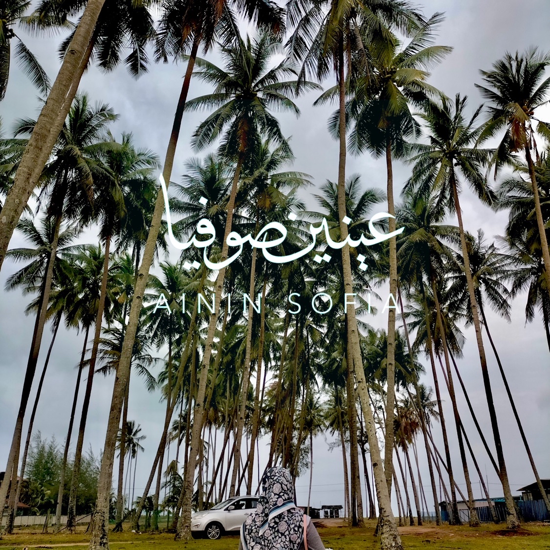 Sofia Flower, Online Shop | Shopee Malaysia