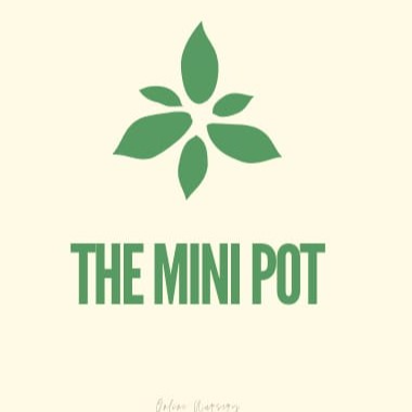 The_MiniPot, Online Shop | Shopee Malaysia