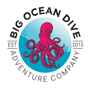 Big Ocean Dive, Online Shop | Shopee Malaysia