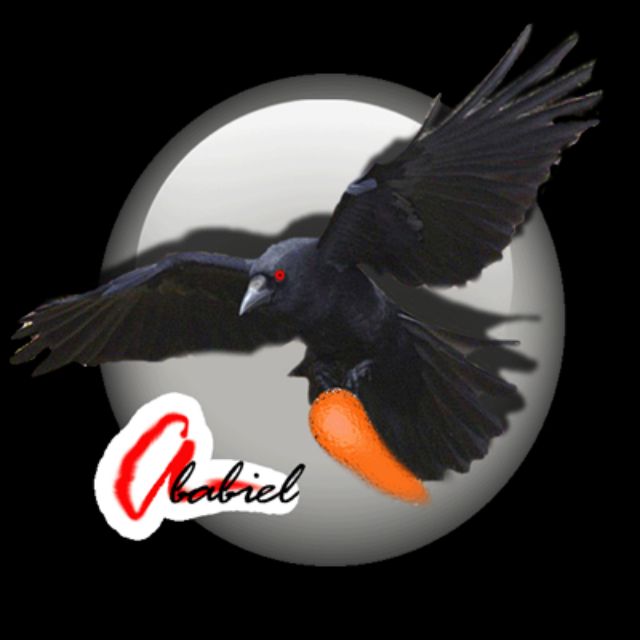 Ababil Insight Trading, Online Shop | Shopee Malaysia