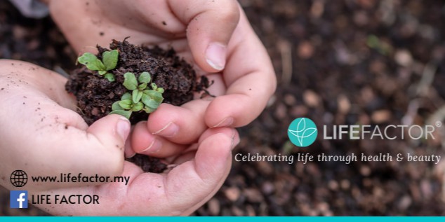 LIFE FACTOR® OFFICIAL STORE Online, July 2024 | Shopee Malaysia