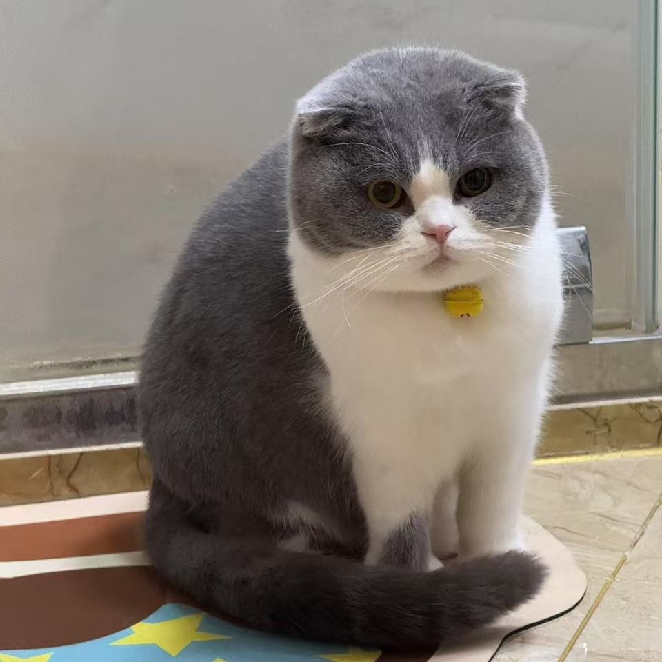 LifeSphere, Online Shop | Shopee Malaysia