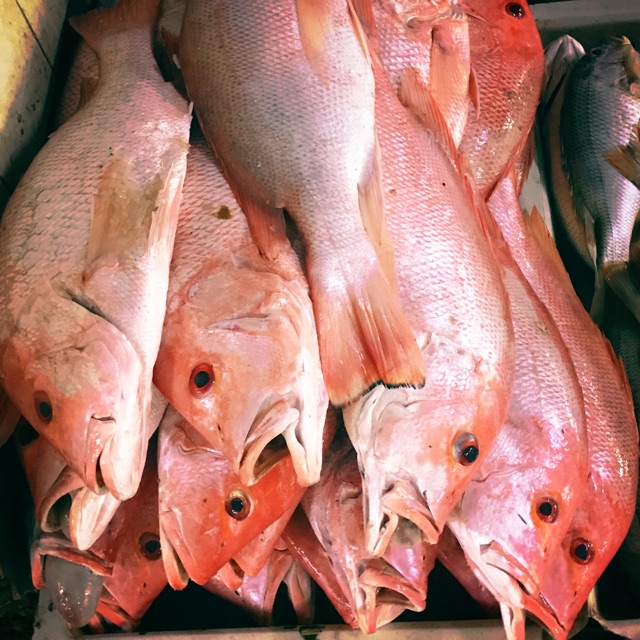 TAN CHEE PENG, Online Shop | Shopee Malaysia