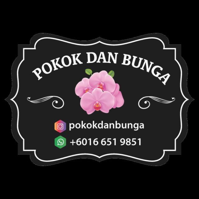 Pokok dan bunga, Online Shop | Shopee Malaysia