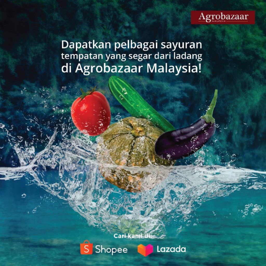 Agrobazaar Malaysia Online, August 2025 | Shopee Malaysia