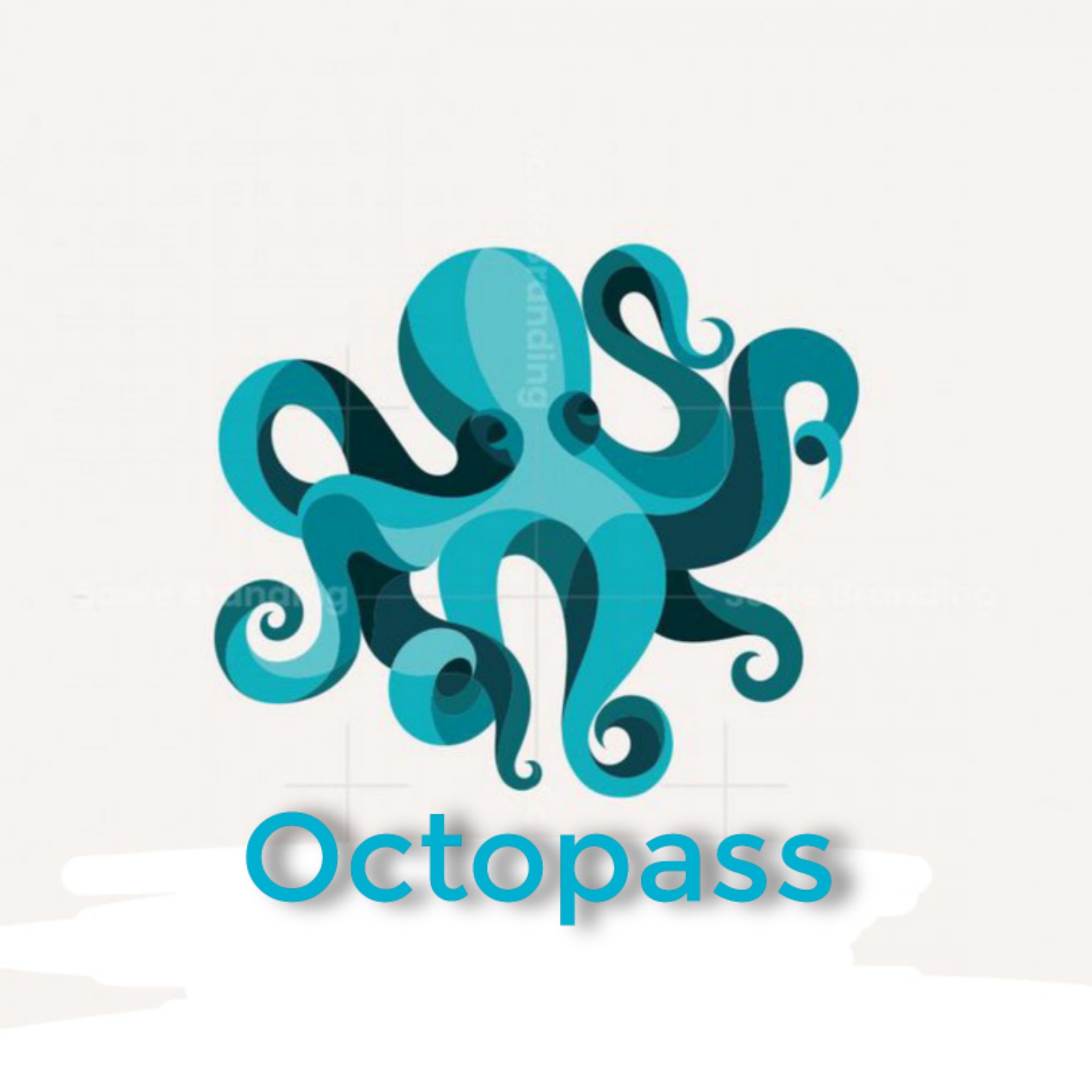 octopass.com, Online Shop | Shopee Malaysia