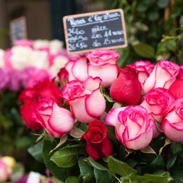 roseshop, Online Shop | Shopee Malaysia