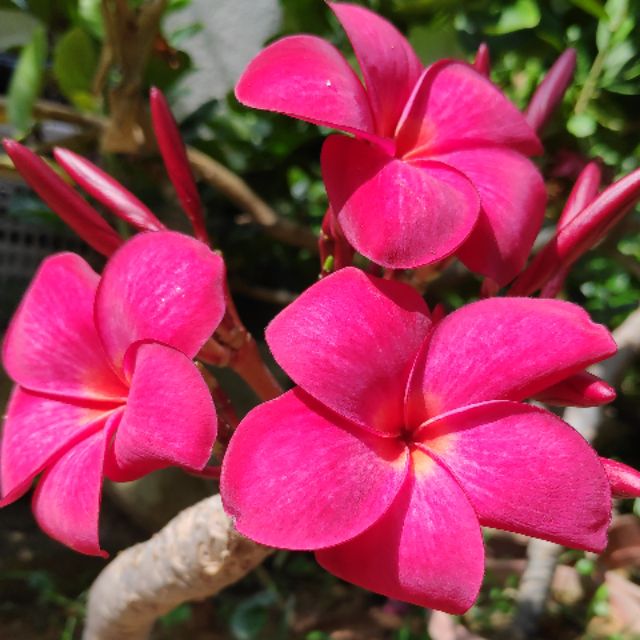 shopmart, Online Shop | Shopee Malaysia