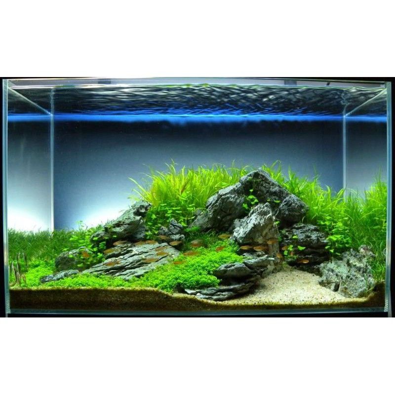 Aquascapes Seiryu Stone