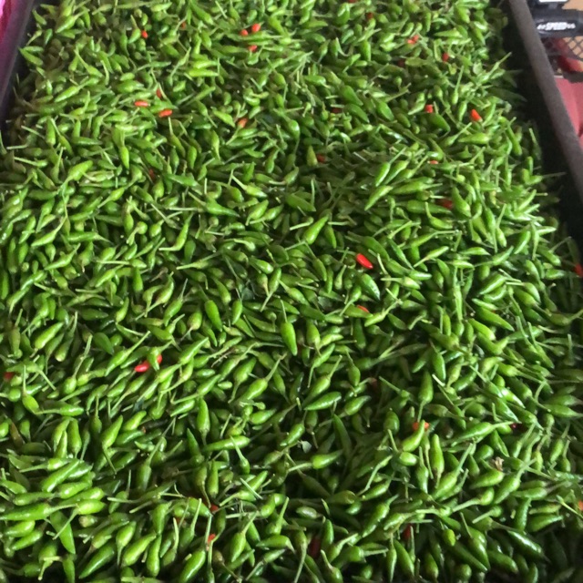 RAYQAL RIFQY SHOP, Online Shop | Shopee Malaysia