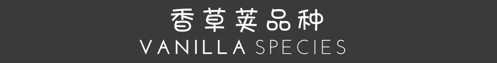 Vanilla Trading Official Store, Online Shop | Shopee Malaysia