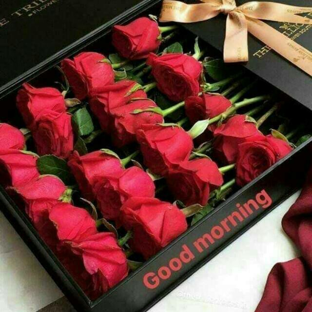 terela, Online Shop | Shopee Malaysia