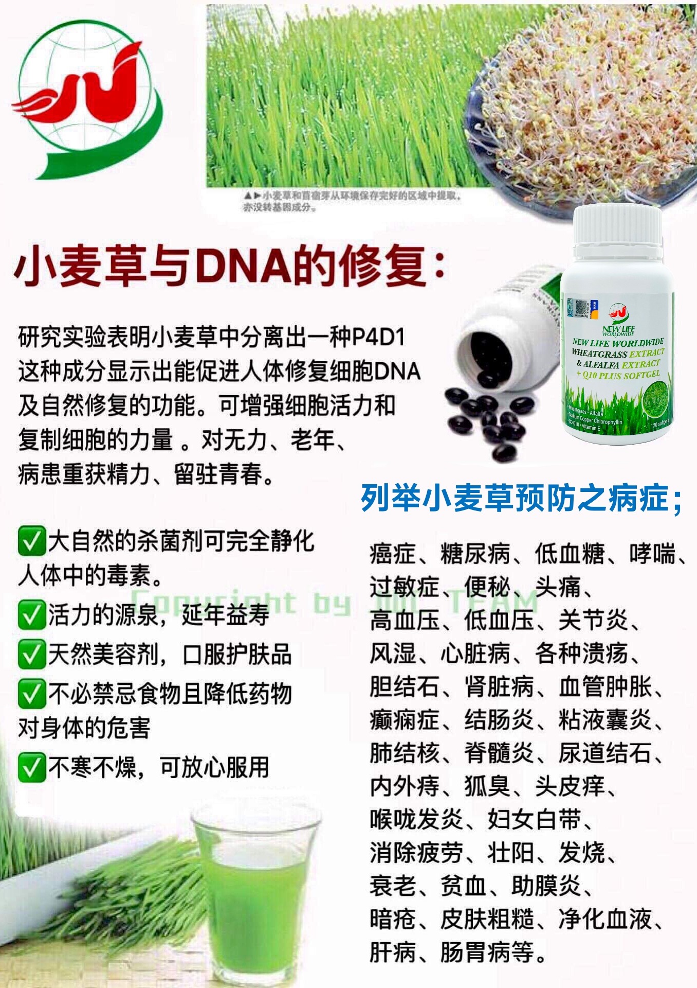 New Life Worldwide/ BMJ Wellness, Online Shop | Shopee Malaysia