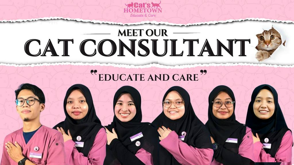 Cats Hometown, Online Shop | Shopee Malaysia