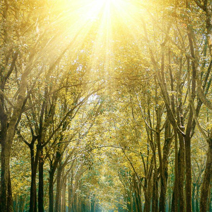 Bliss Sun Store, Online Shop | Shopee Malaysia