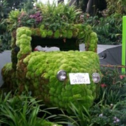 CaruChi_Shop, Online Shop | Shopee Malaysia