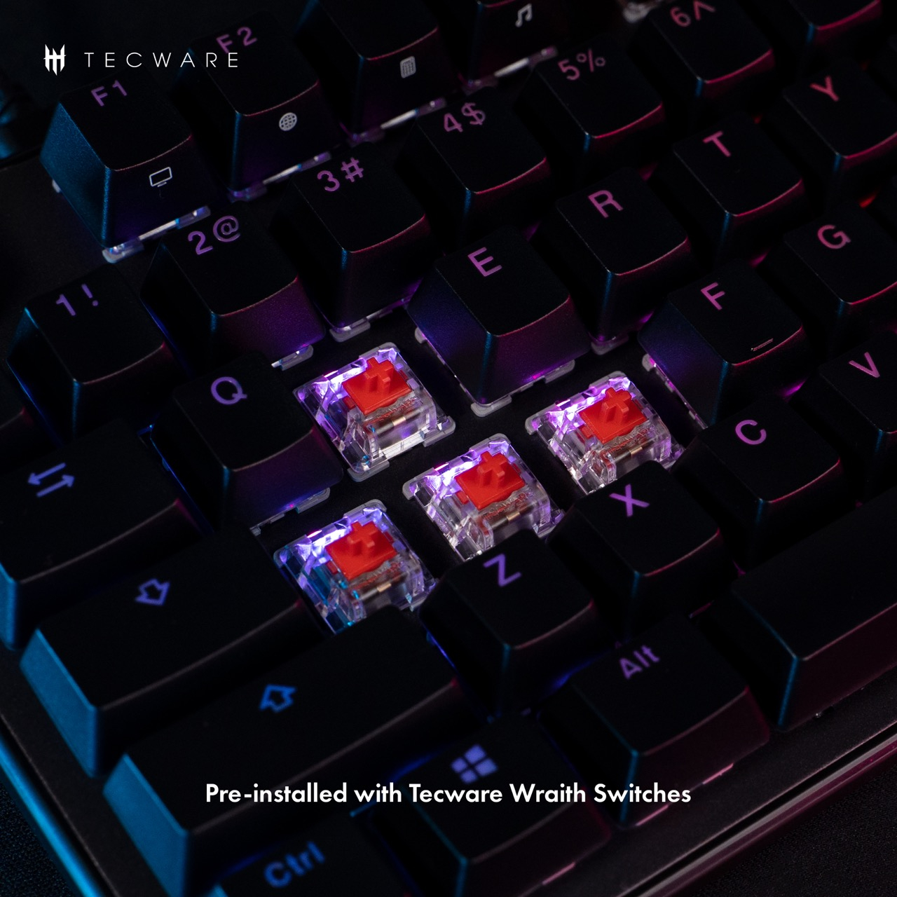 Tecware Malaysia Official Store Online, July 2024 | Shopee Malaysia