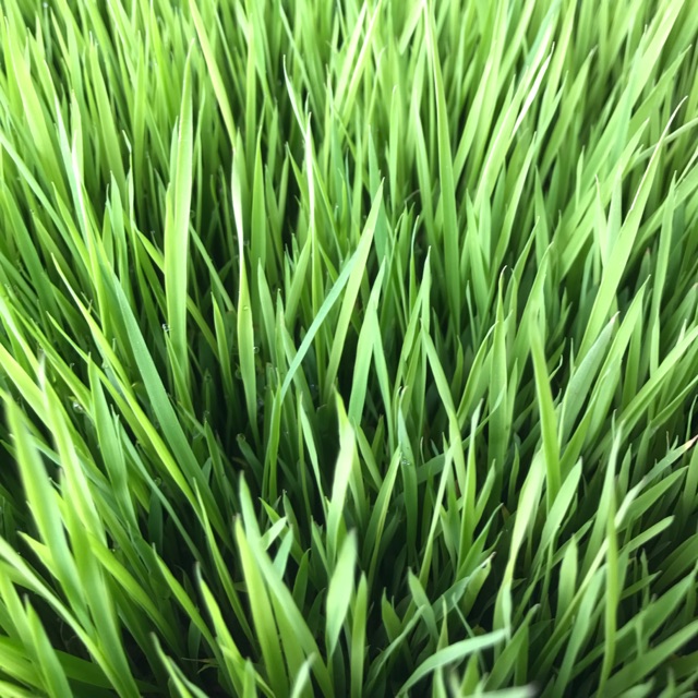 Smlt Shop, Online Shop | Shopee Malaysia