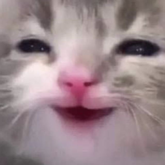 Jailee, Online Shop | Shopee Malaysia